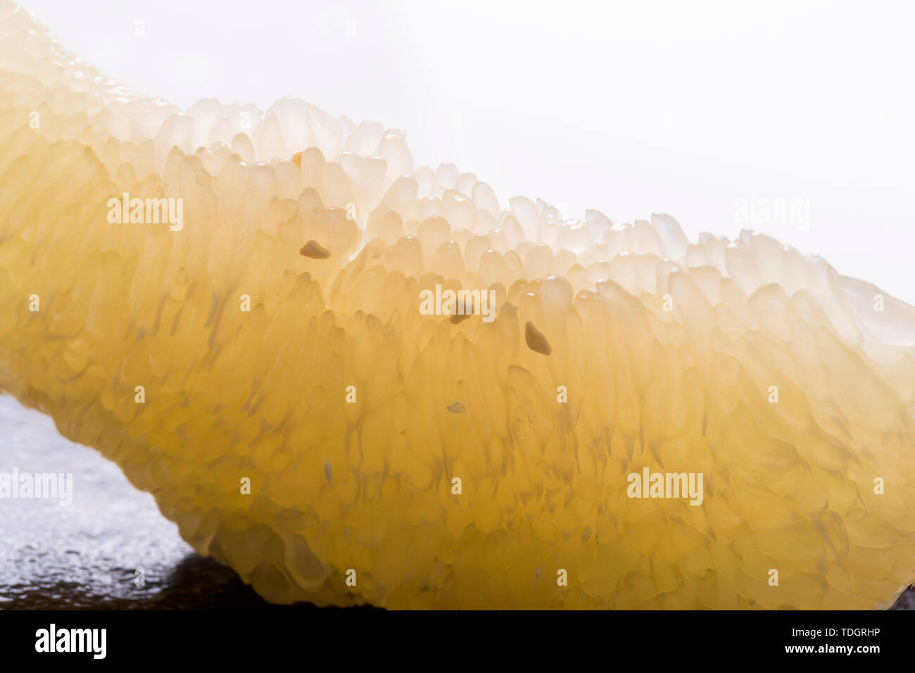 Pomelo bird hi-res stock photography and images - Alamy