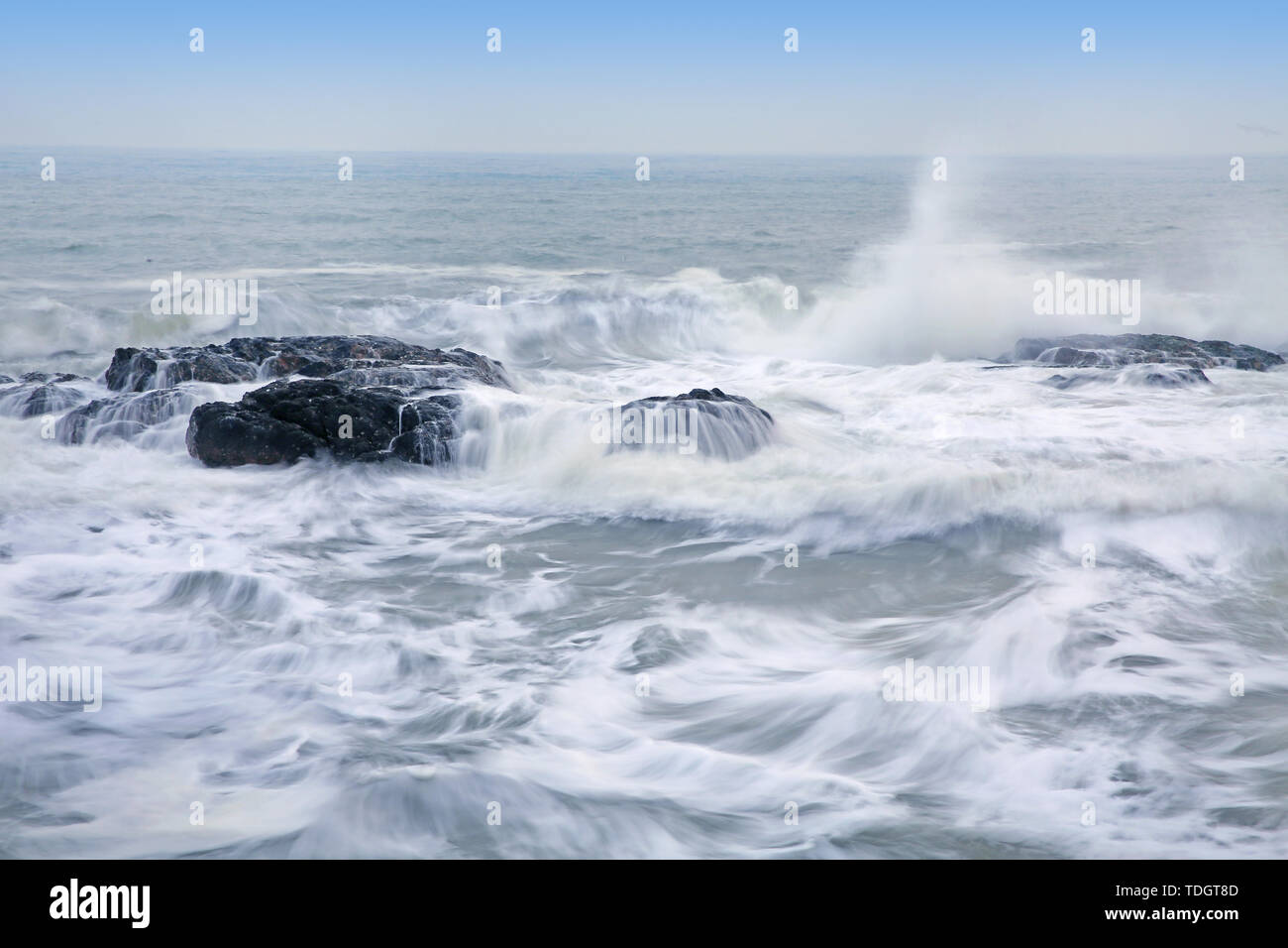 A group of pictures of the soul of the sea Stock Photo - Alamy