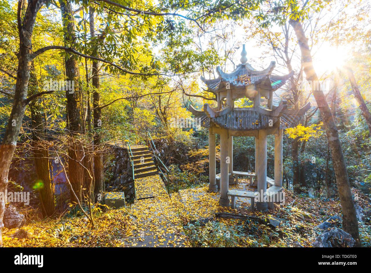 Autumn with pavilion Stock Photo - Alamy