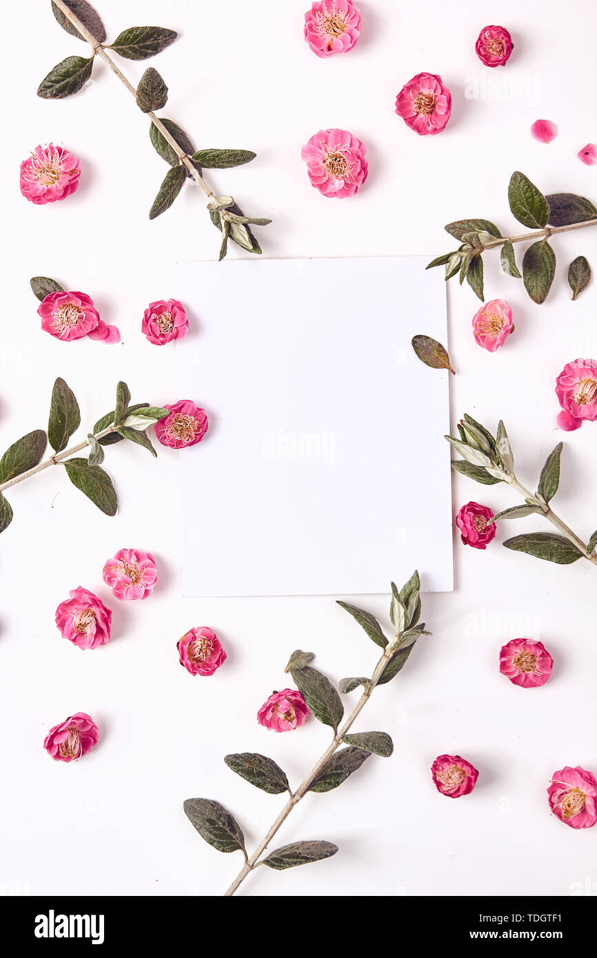 Creative flowers background Stock Photo - Alamy