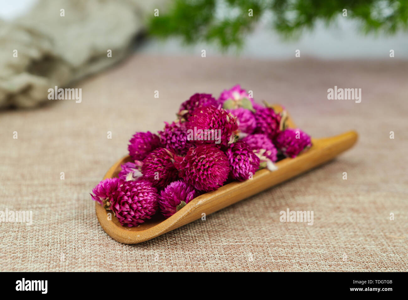 Thousand-day red flower tea Stock Photo - Alamy