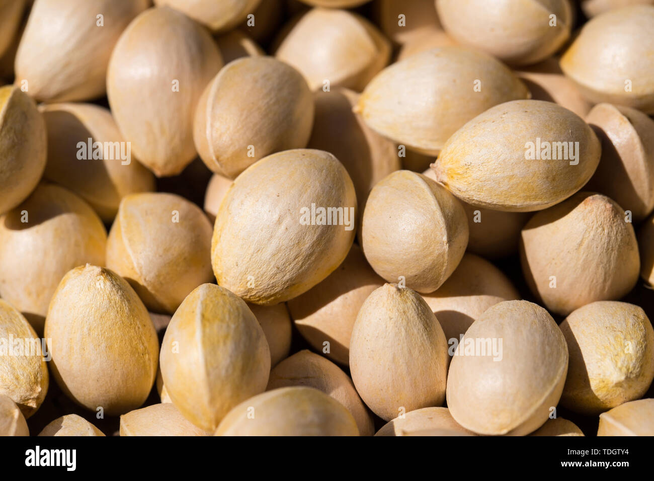 Ginkgo fruit hi-res stock photography and images - Alamy