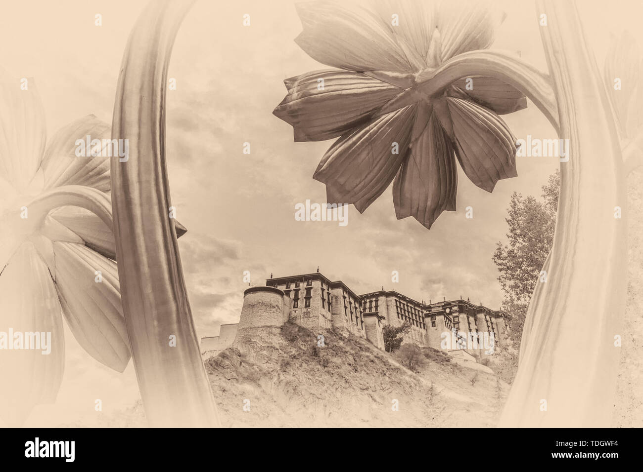 Photographed in front of the Lord Zhang Flower sculpture in Lukang Park ...