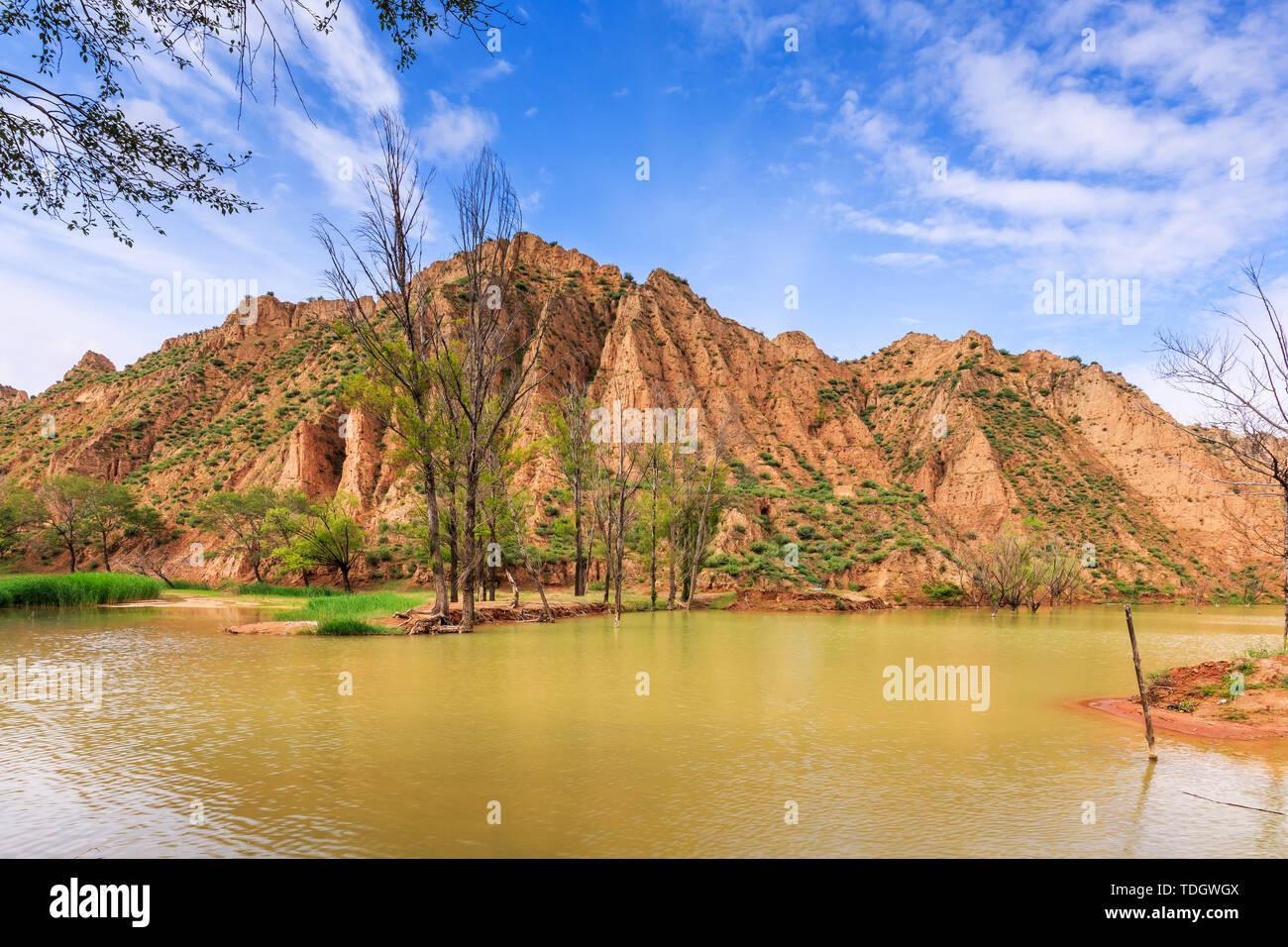 The Valley of the Danforth Stock Photo - Alamy