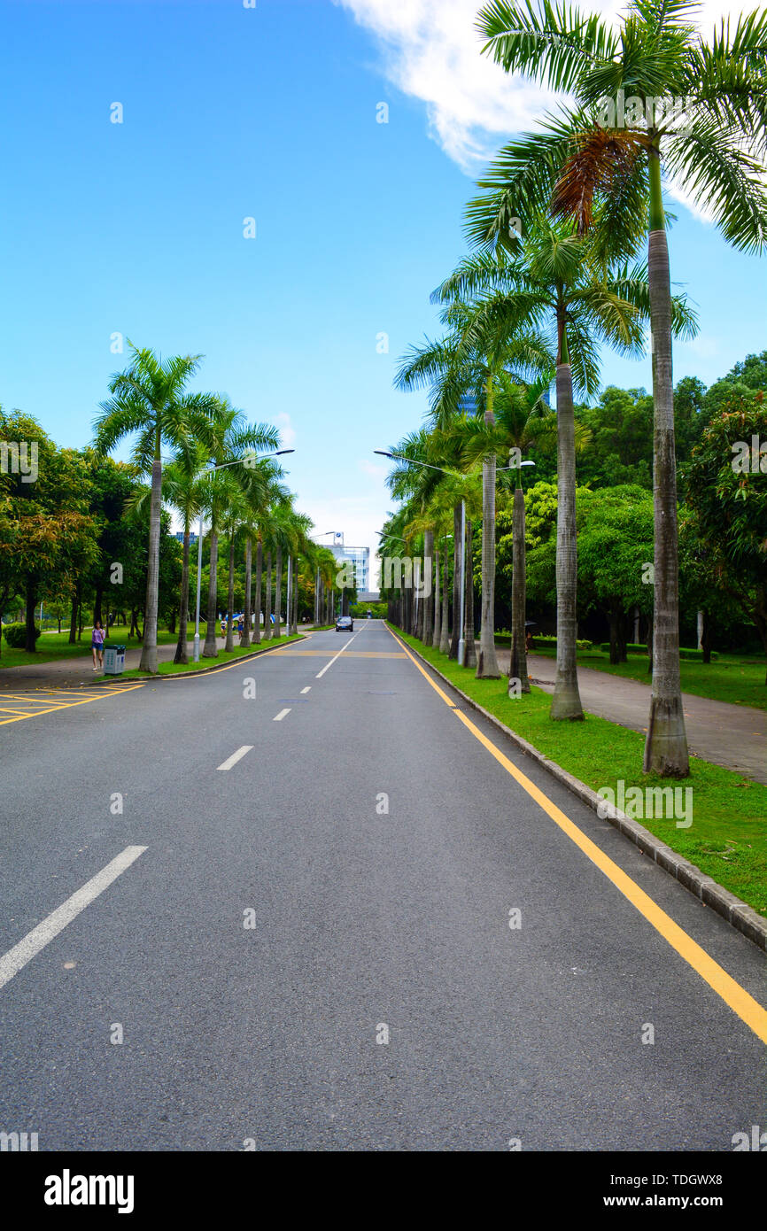 Shenzhen green road hi-res stock photography and images - Alamy