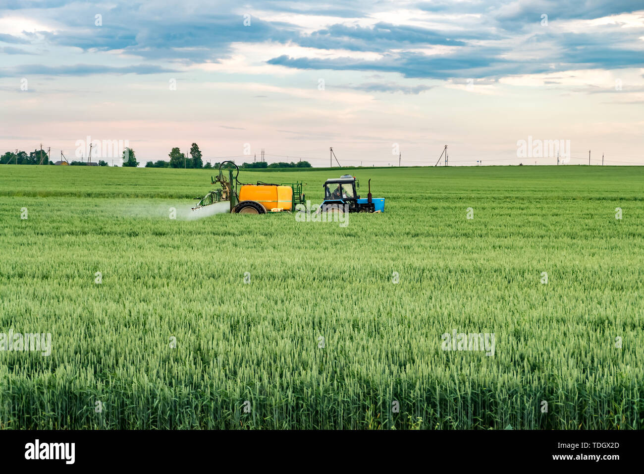 Farmer spraying wheat field with tractor sprayer at spring season Stock ...