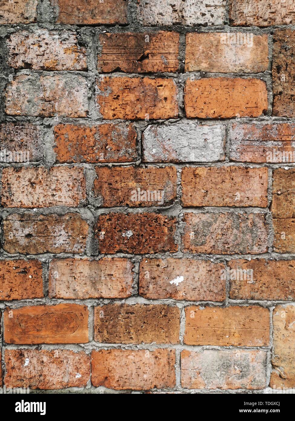 Face mapping hi-res stock photography and images - Alamy