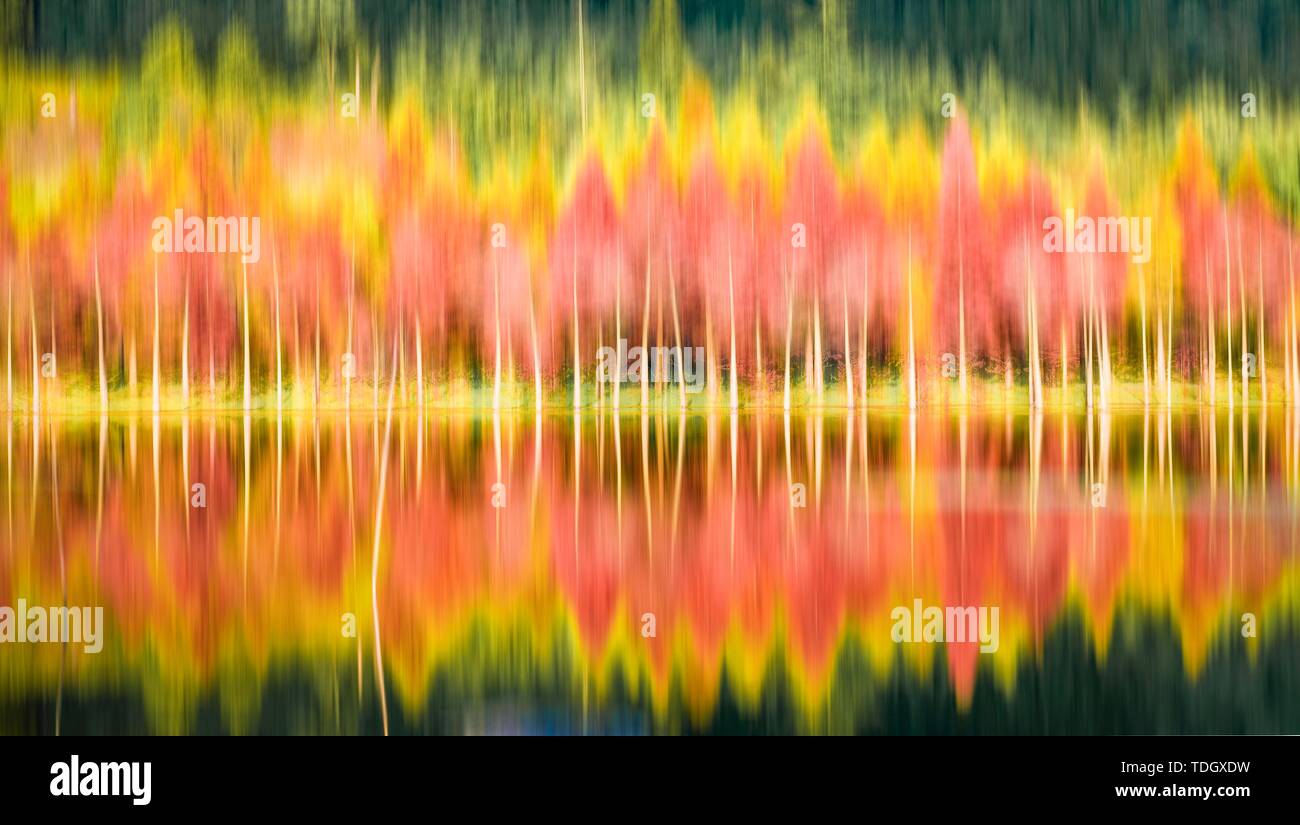 Humanities illustration hi-res stock photography and images - Alamy