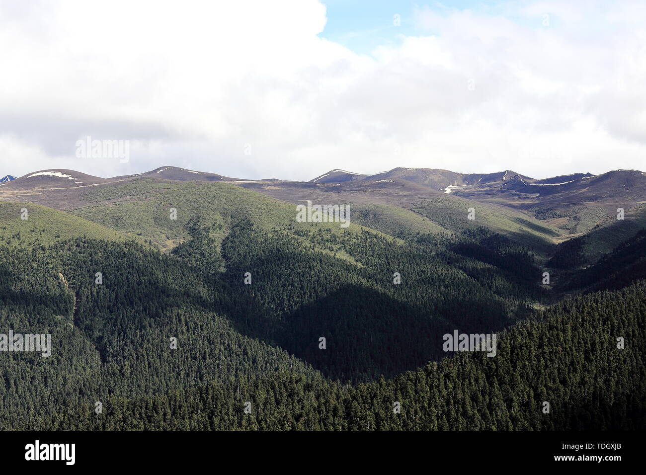 Scenery of Yingzhi Lulang Linhai in Tibet Autonomous Region Stock Photo ...