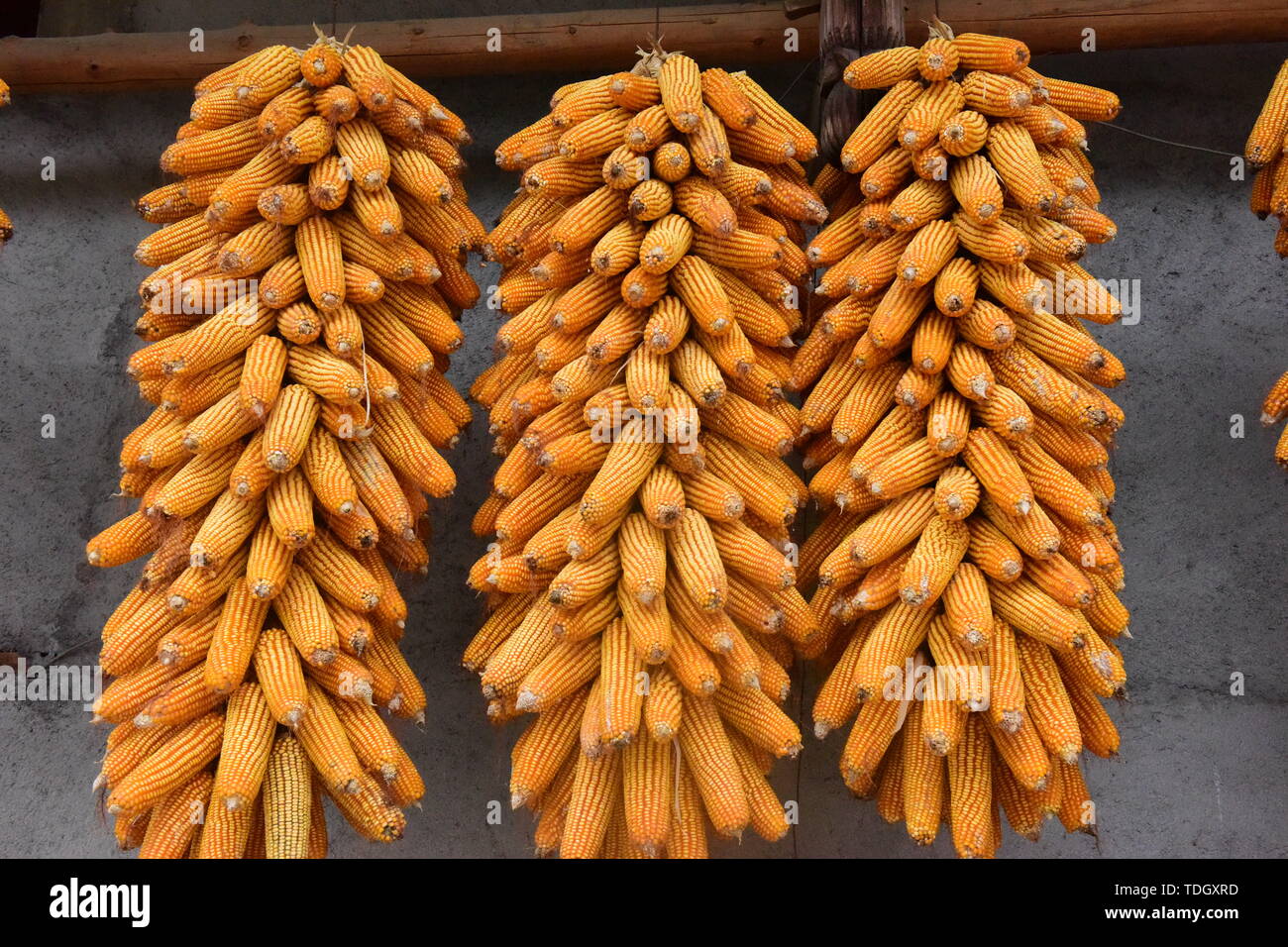 Corn stacks hi-res stock photography and images - Alamy