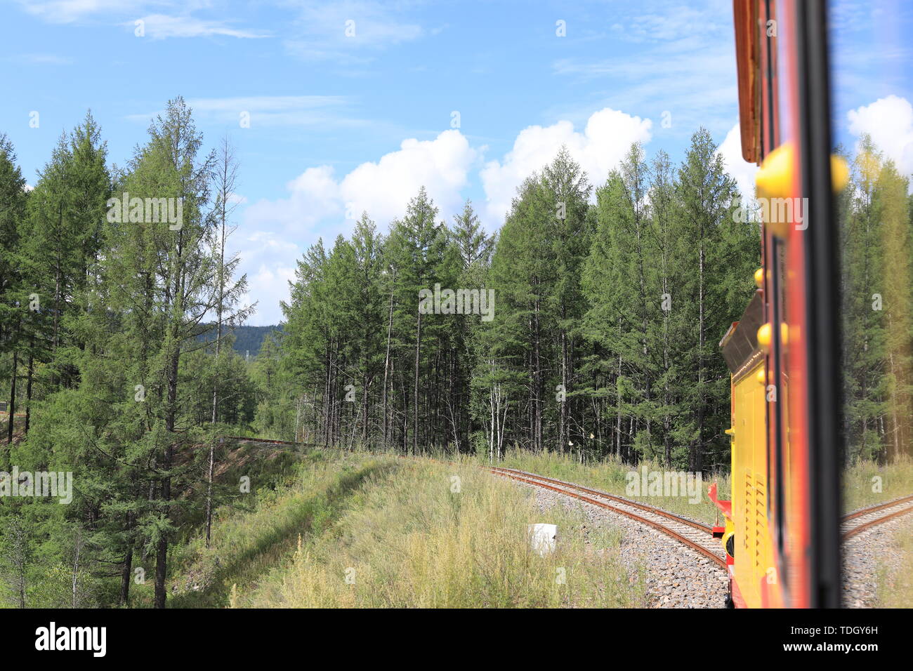 The mordaoga forest park hi-res stock photography and images - Alamy