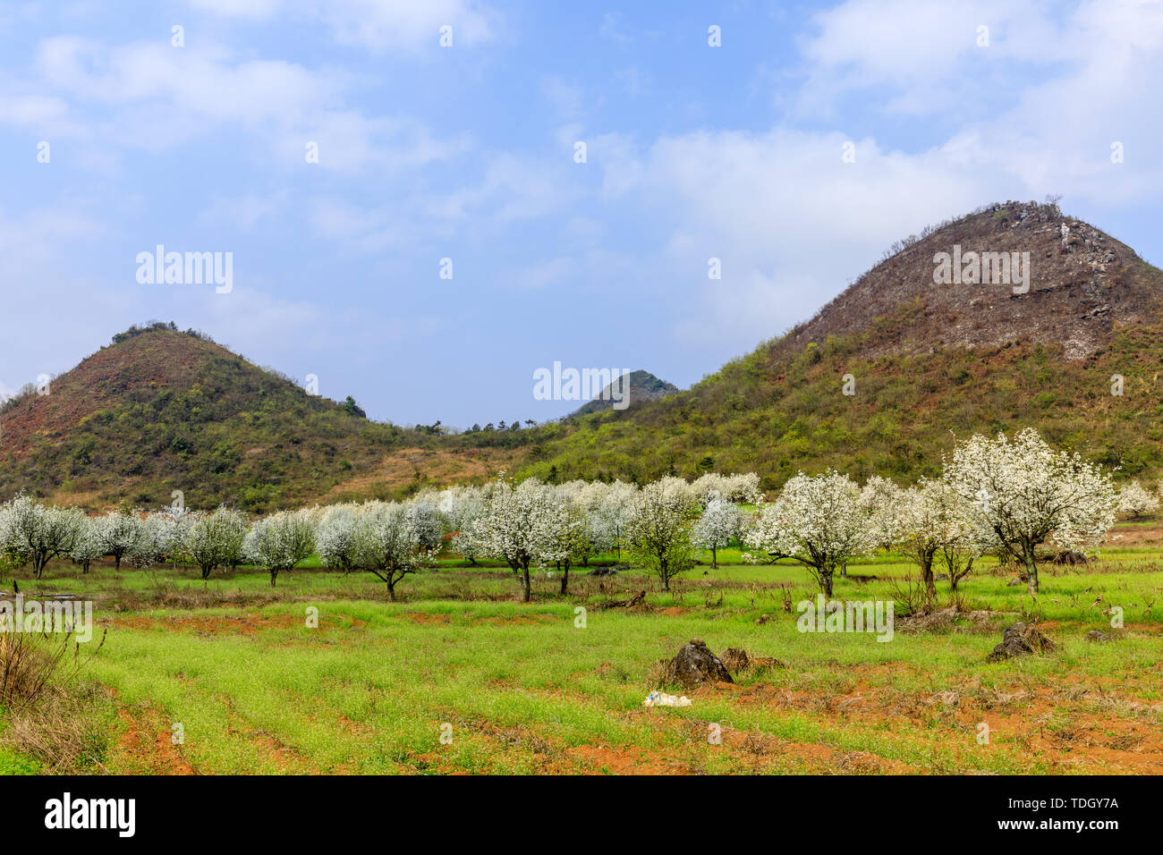 Lianzhou city hi-res stock photography and images - Alamy
