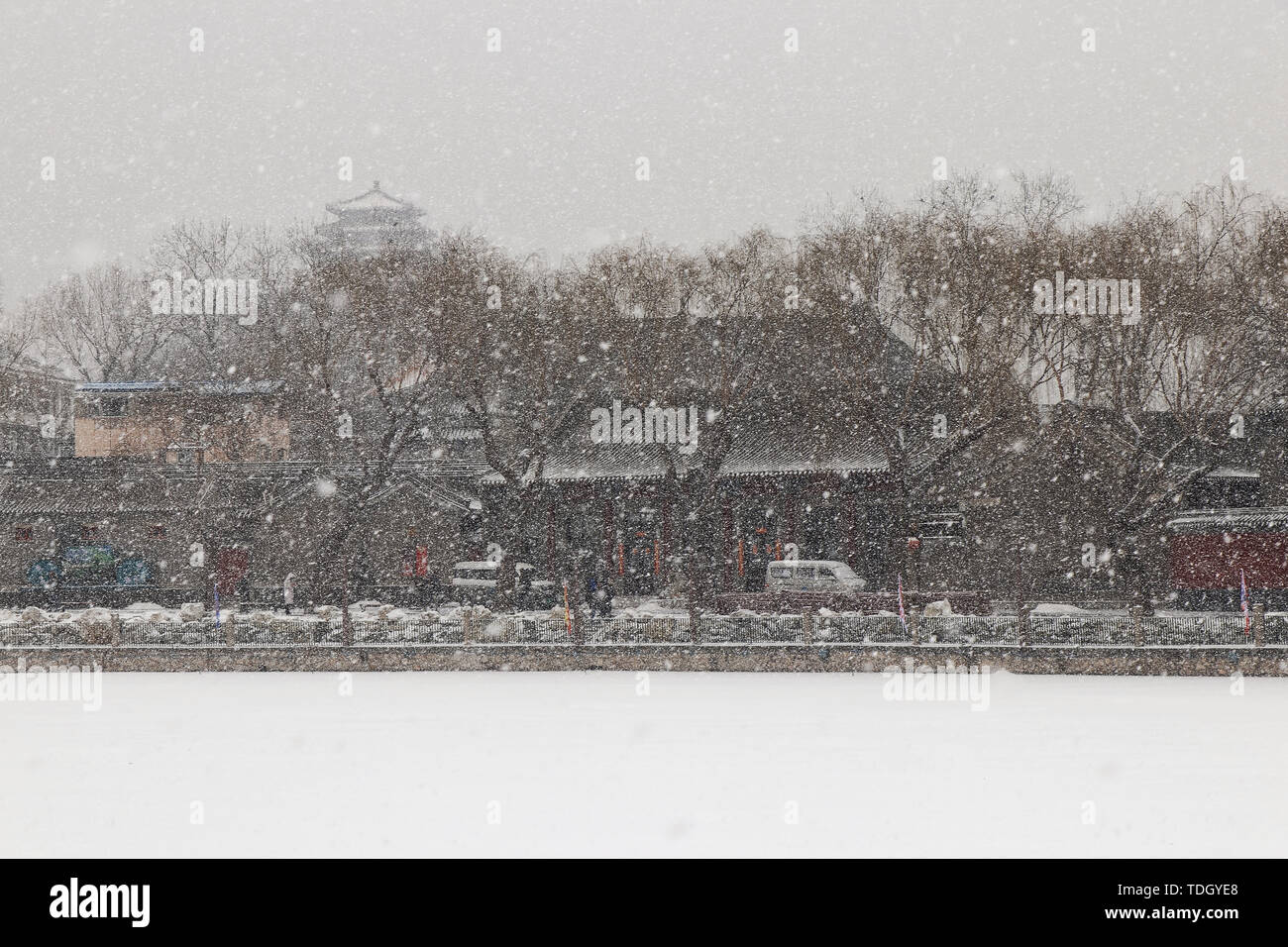 The first snow in Beijing in 2019, pictured at the National Palace ...