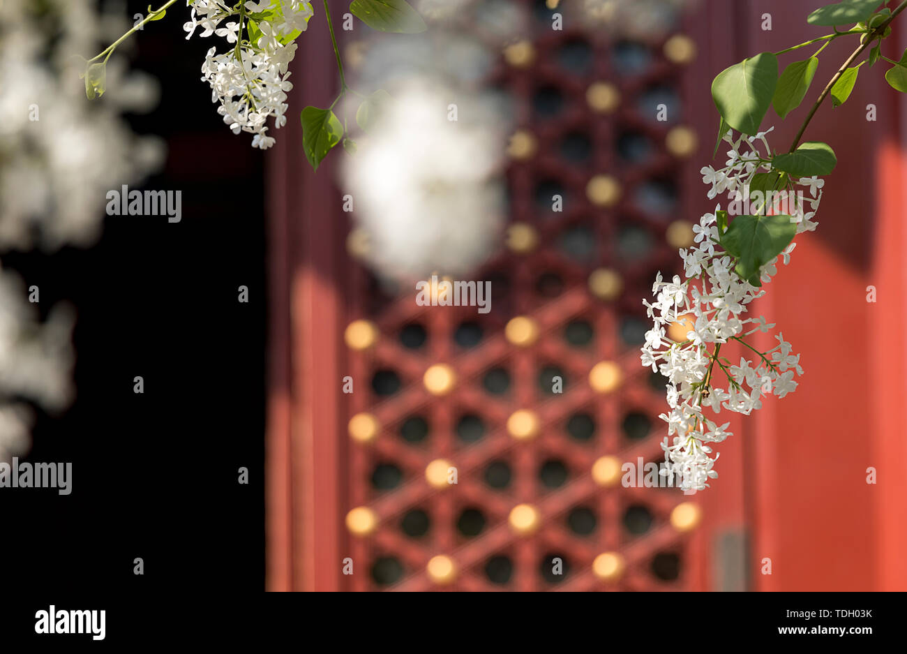 Fayuan Temple, Beijing Stock Photo - Alamy