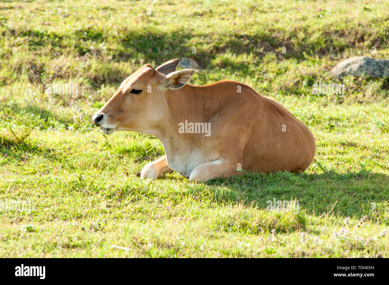 Fujian Pingtan Island High Resolution Stock Photography and Images - Alamy