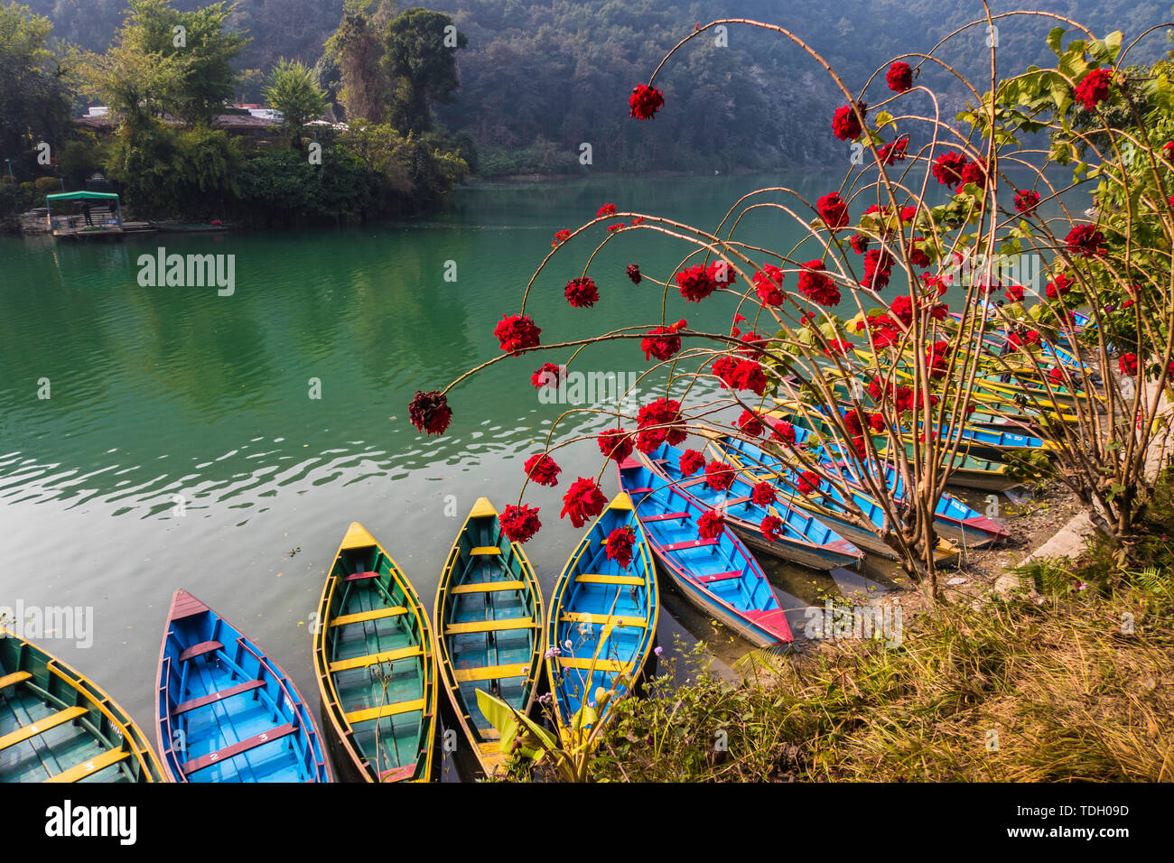 Feiwa hi-res stock photography and images - Alamy