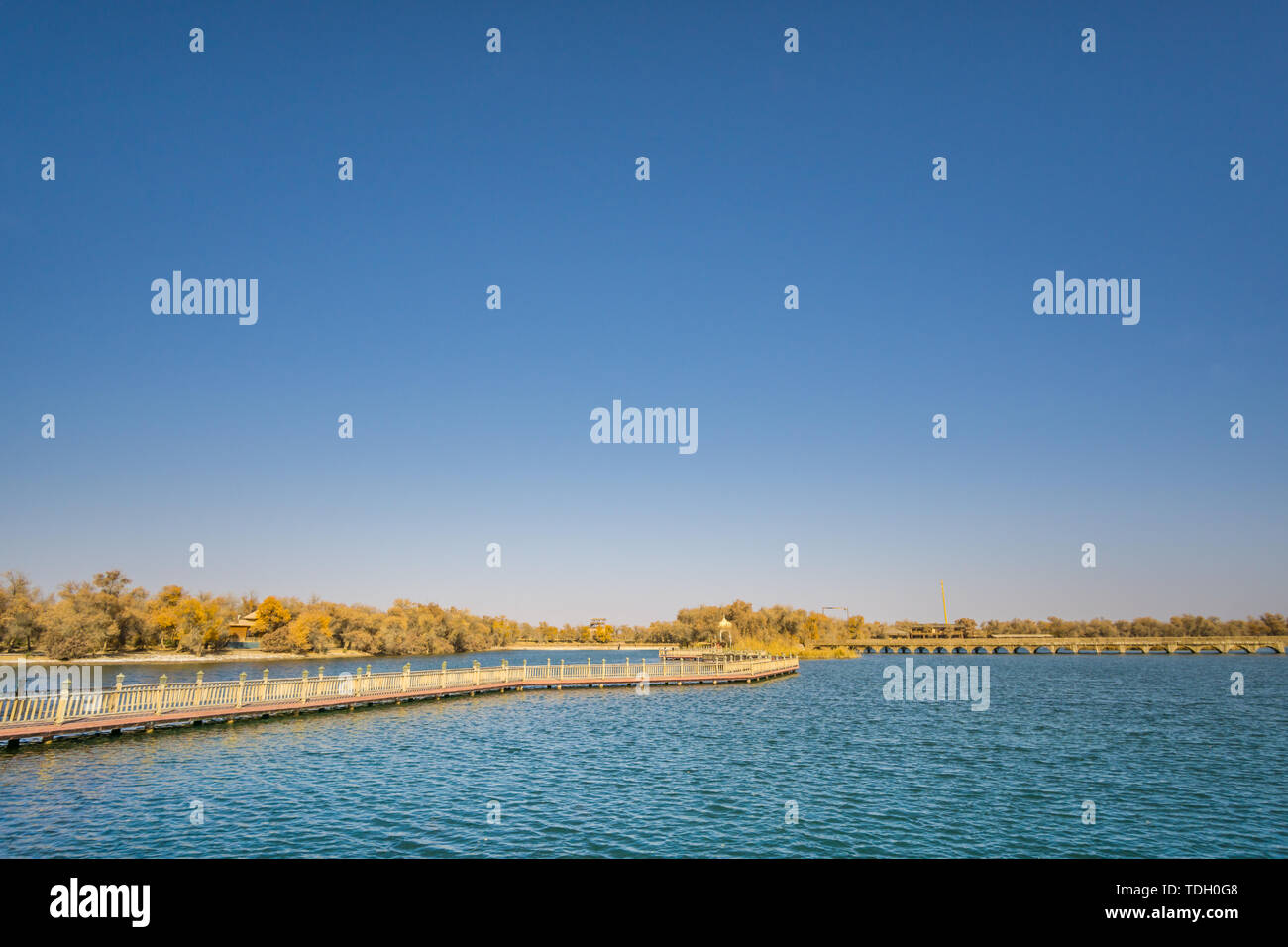Poplar Lin, lake, reflection, beautiful scenery Stock Photo - Alamy