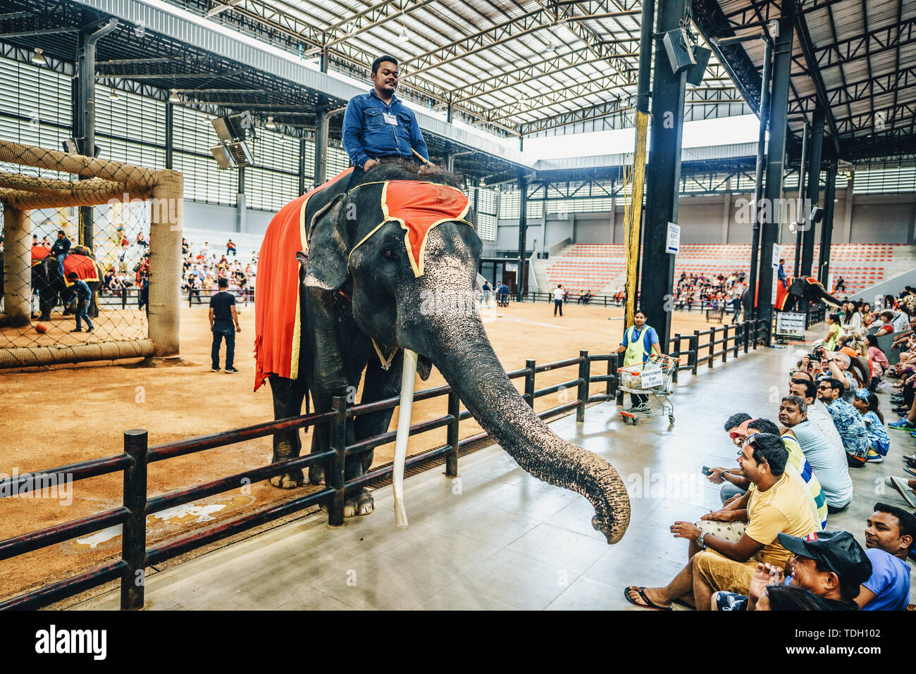 Elephant show bangkok hi-res stock photography and images - Alamy
