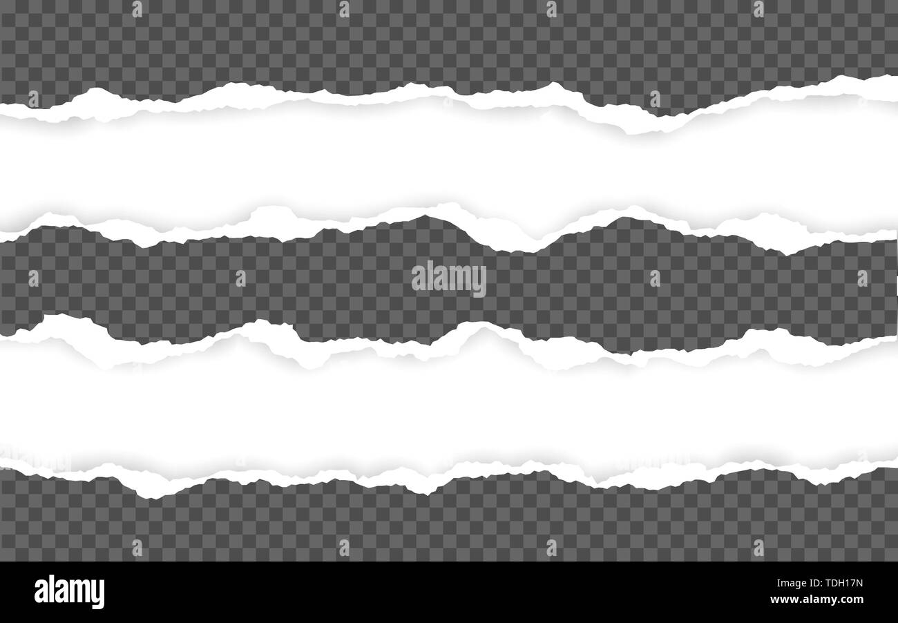 Ripped White Paper Edge