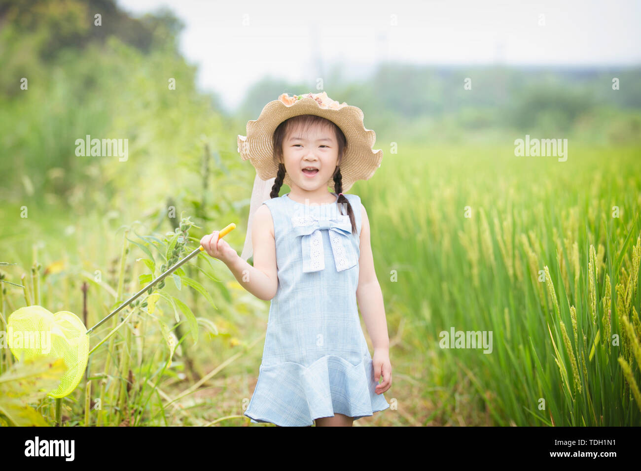 Portrait of children in rice fields in summer Stock Photo - Alamy