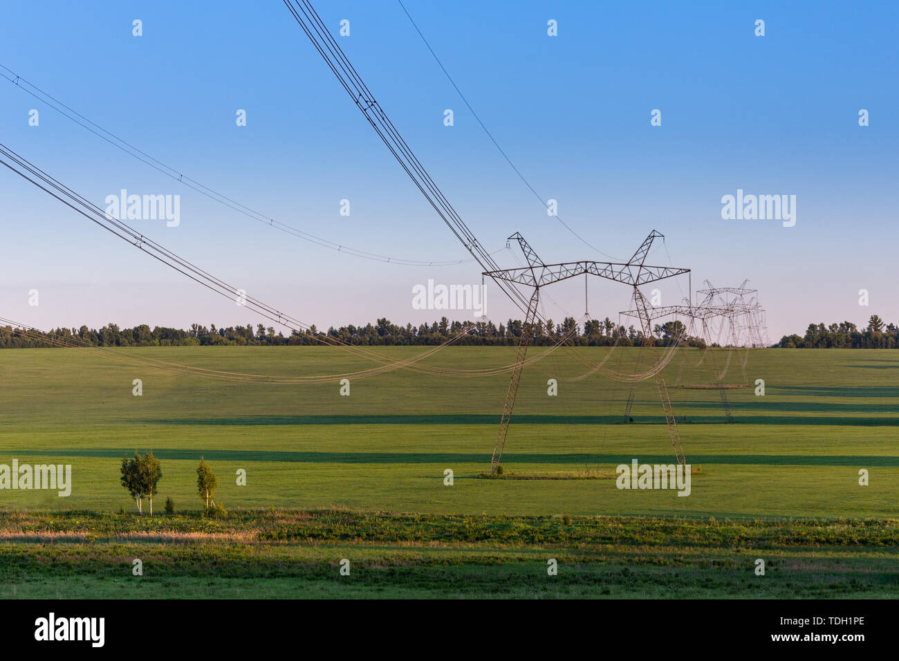 huge power line towers on field at summer evening Stock Photo - Alamy