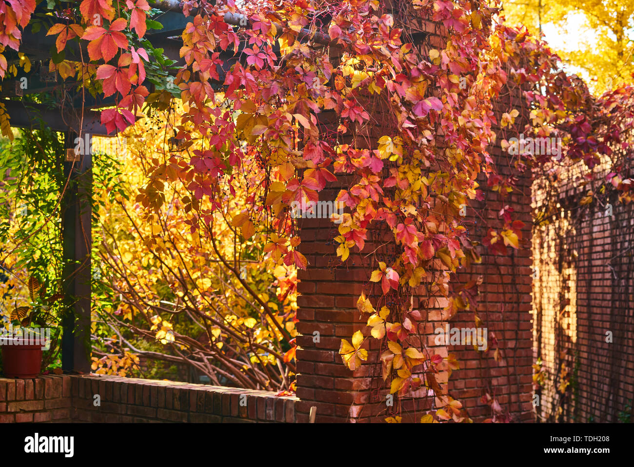 Red Brick Art Gallery Autumn Col Stock Photo - Alamy