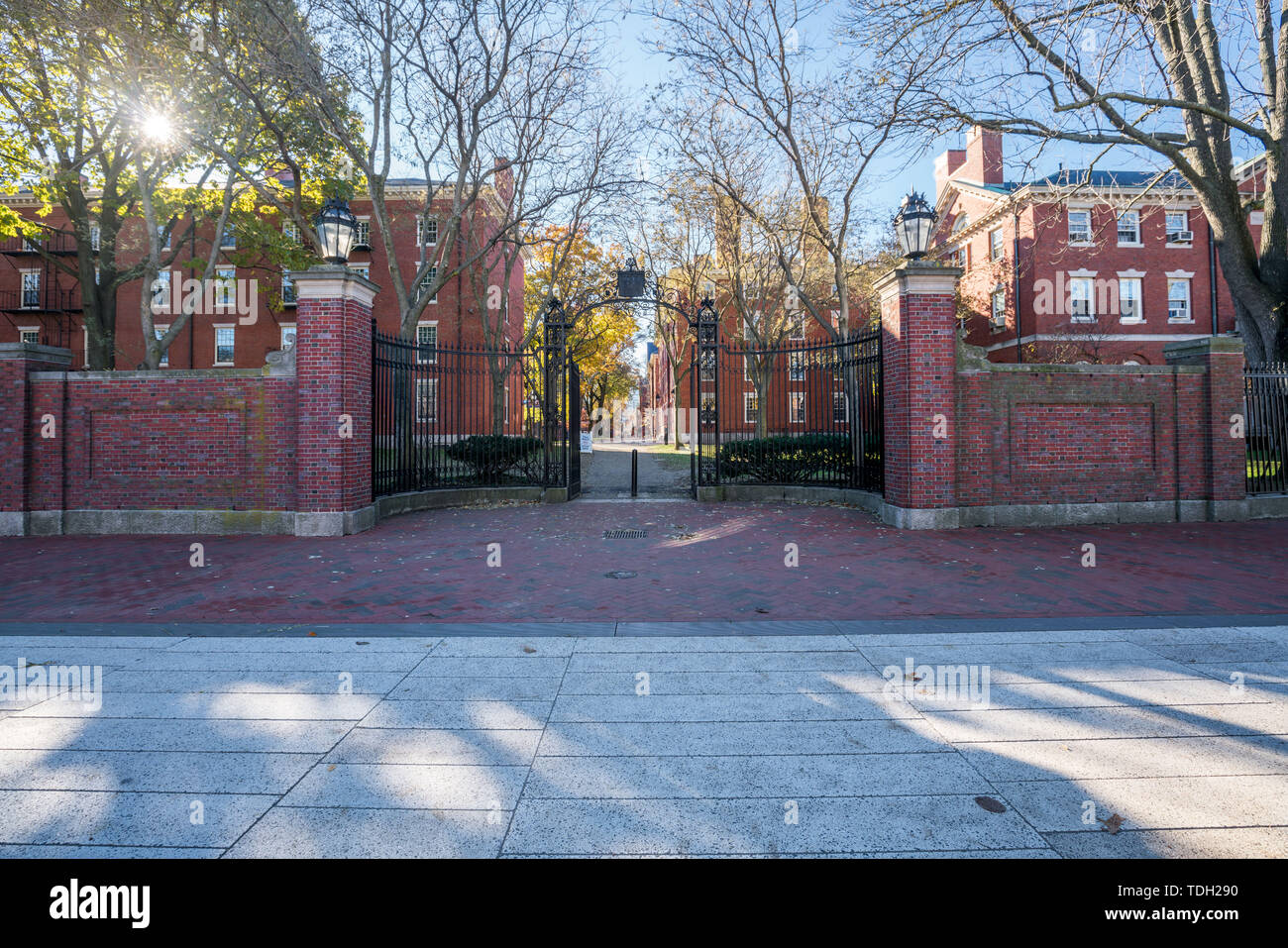 Boston, Harvard campus Stock Photo - Alamy