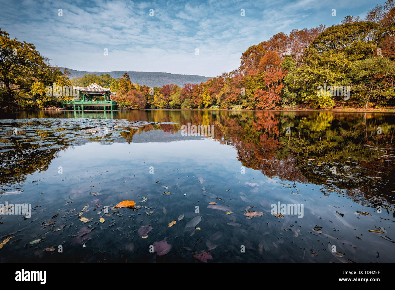 Autumn Scenery of Zhongshan Scenic Area, Nanjing Stock Photo - Alamy