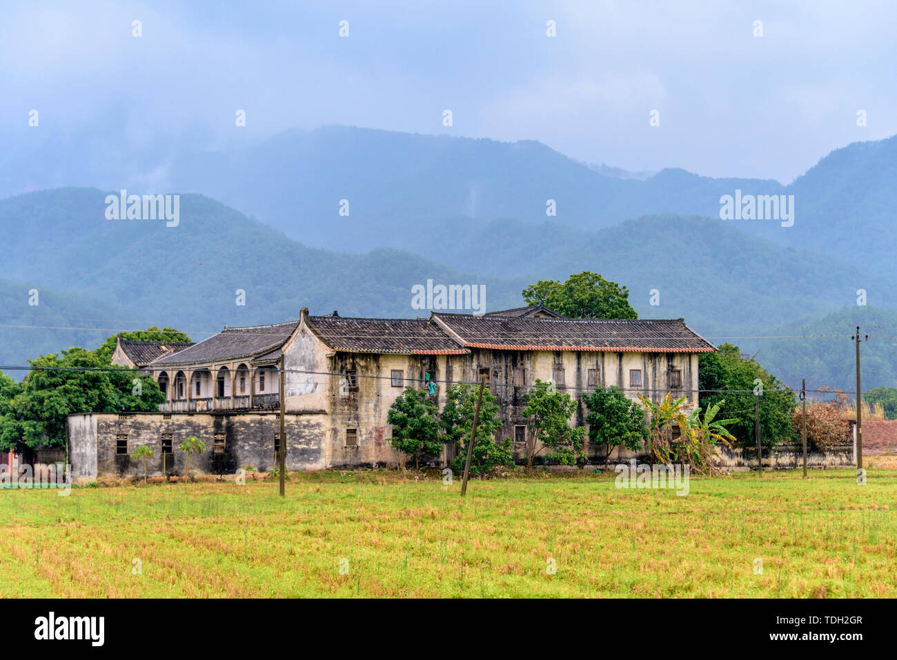 Ling cheung hi-res stock photography and images - Alamy