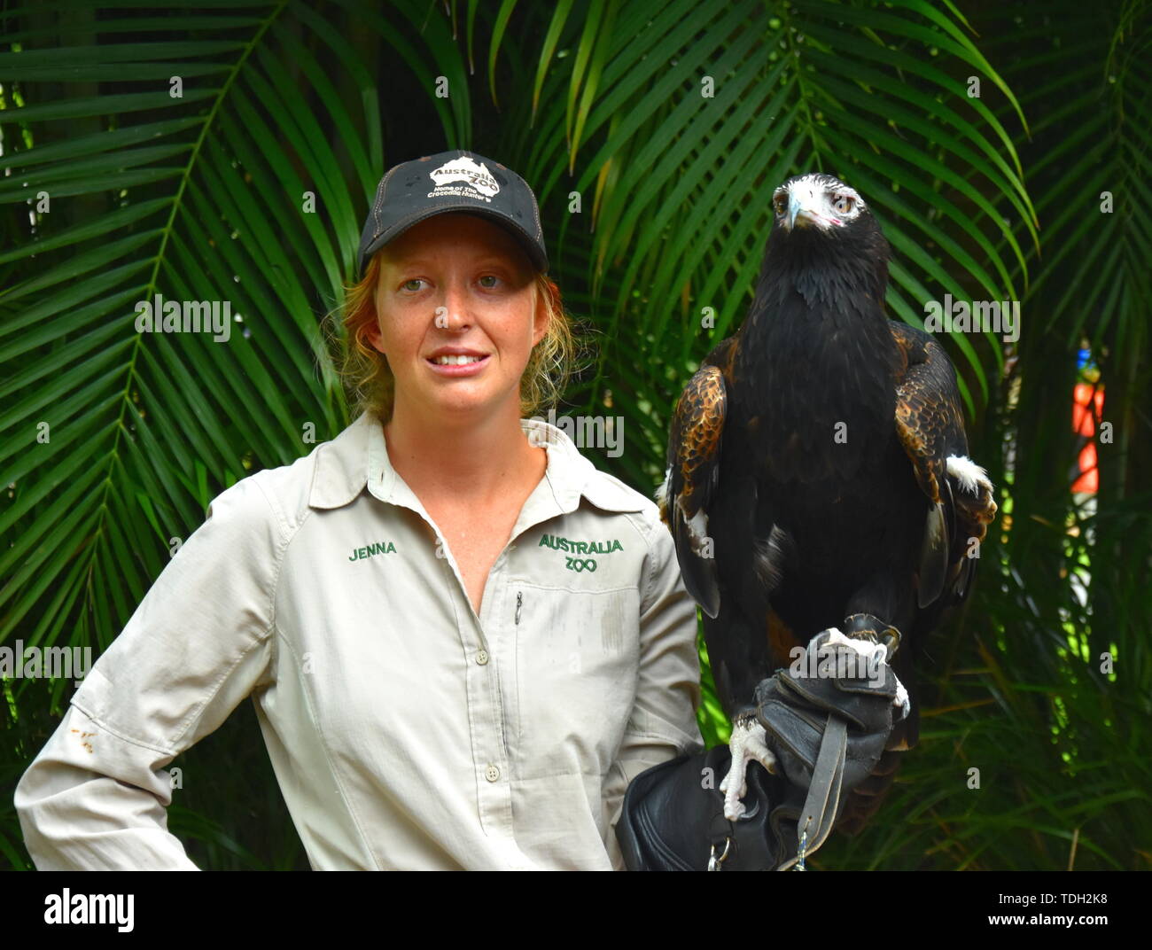 Beerwah, Australia - Apr 22, 2019. Zoo keeper holding a Wedge Tailed ...