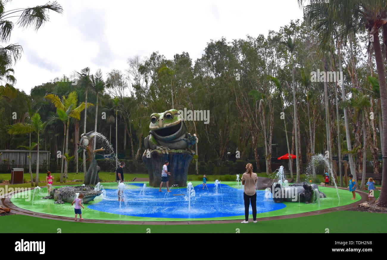 Koala pattern hi-res stock photography and images - Alamy