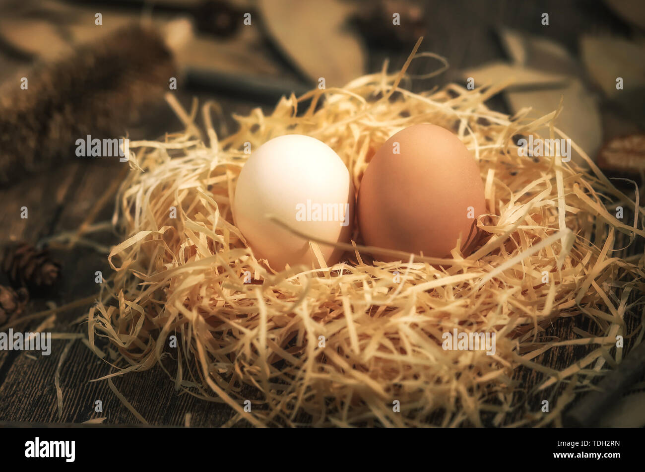 Wind egg hi-res stock photography and images - Alamy