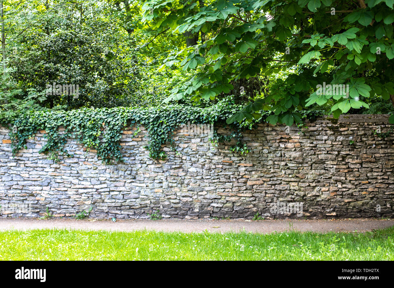 Hedge and brick wall hi-res stock photography and images - Alamy
