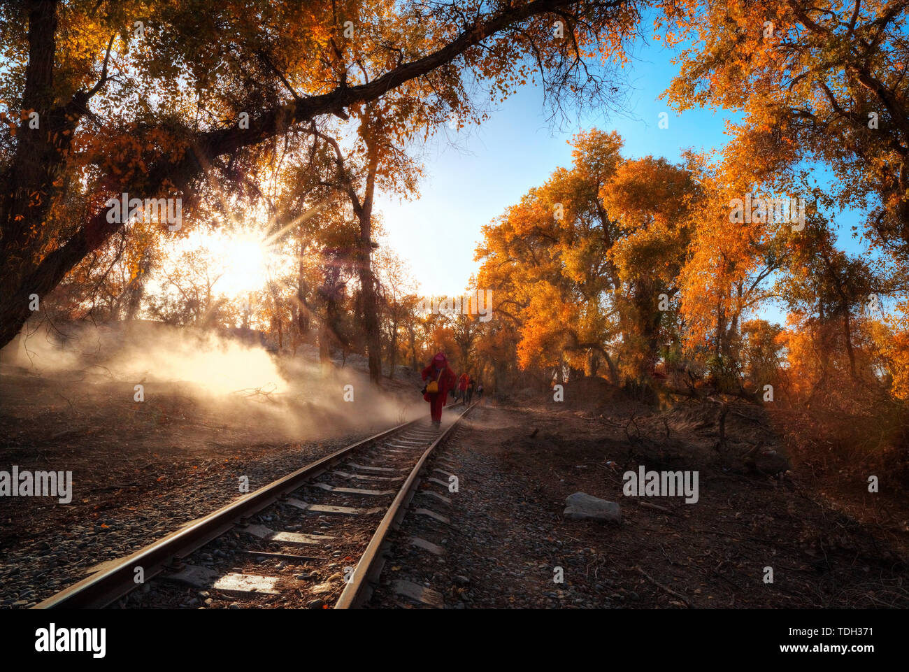 appreciation of autumn Stock Photo - Alamy