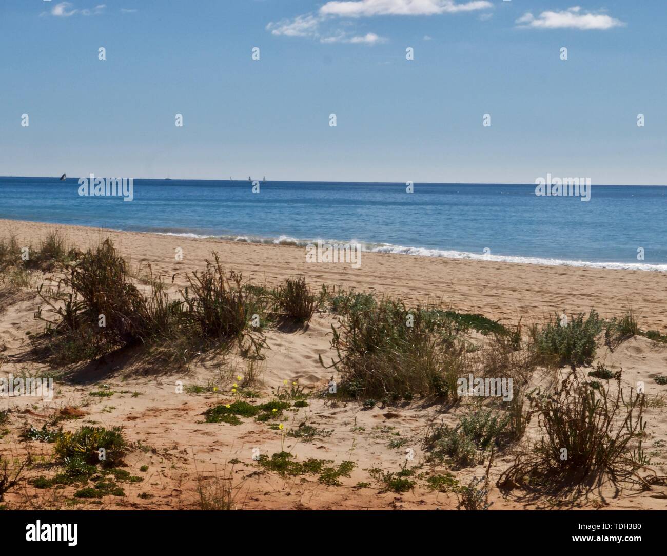 Beautiful paradise beach at the ocean around Albufeira at the Algarve ...