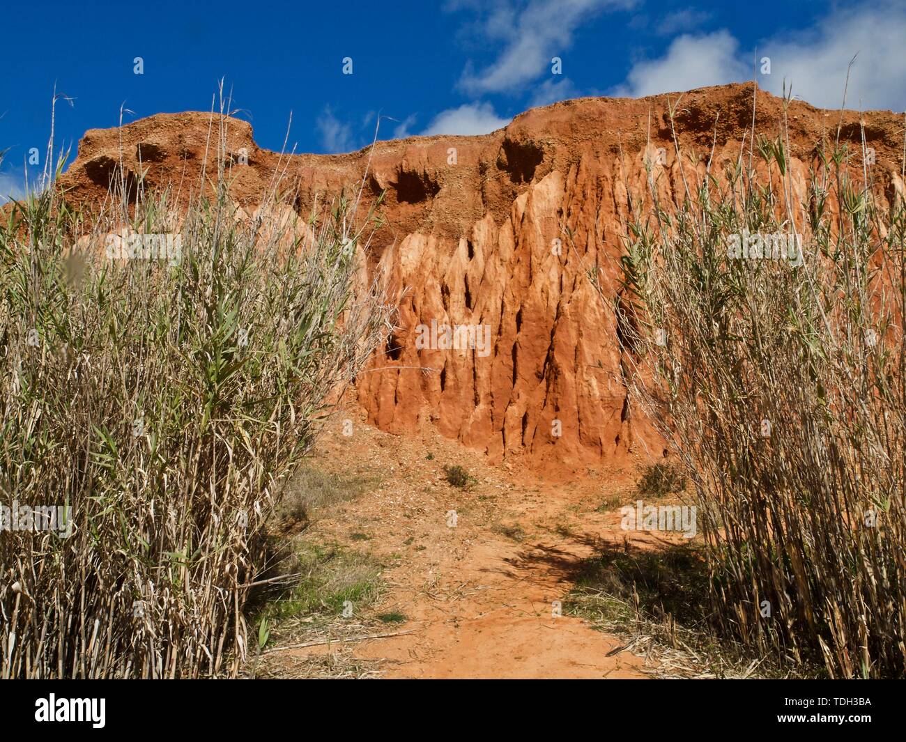 Red high cliffs and wild nature at Paraia da Falesia, a famous paradise ...