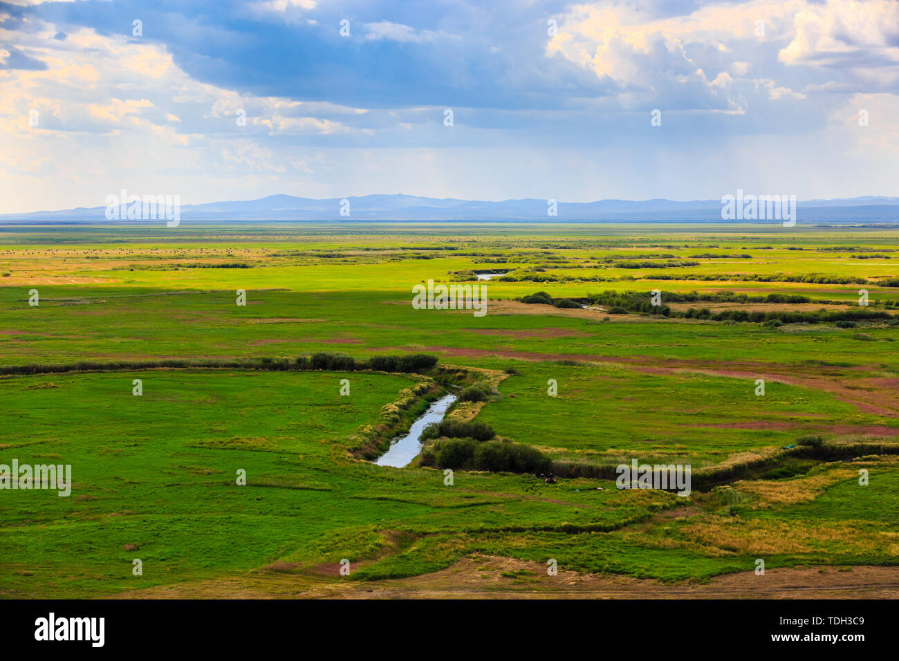 Summer in Hulunbuir Prairie, Inner Mongolia Stock Photo - Alamy
