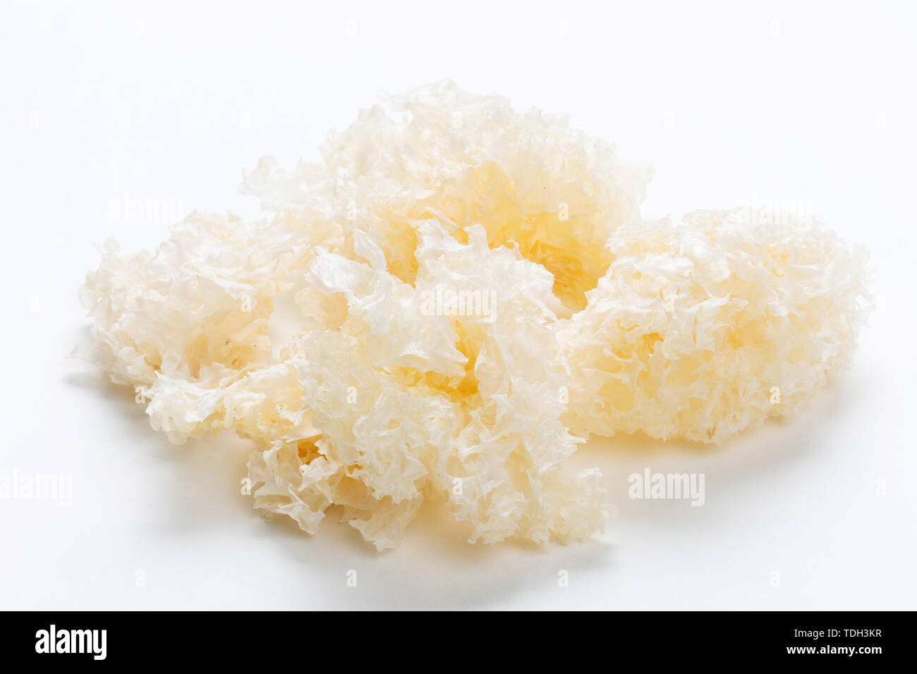 Silver ear fungus tremella fuciformis hi-res stock photography and ...