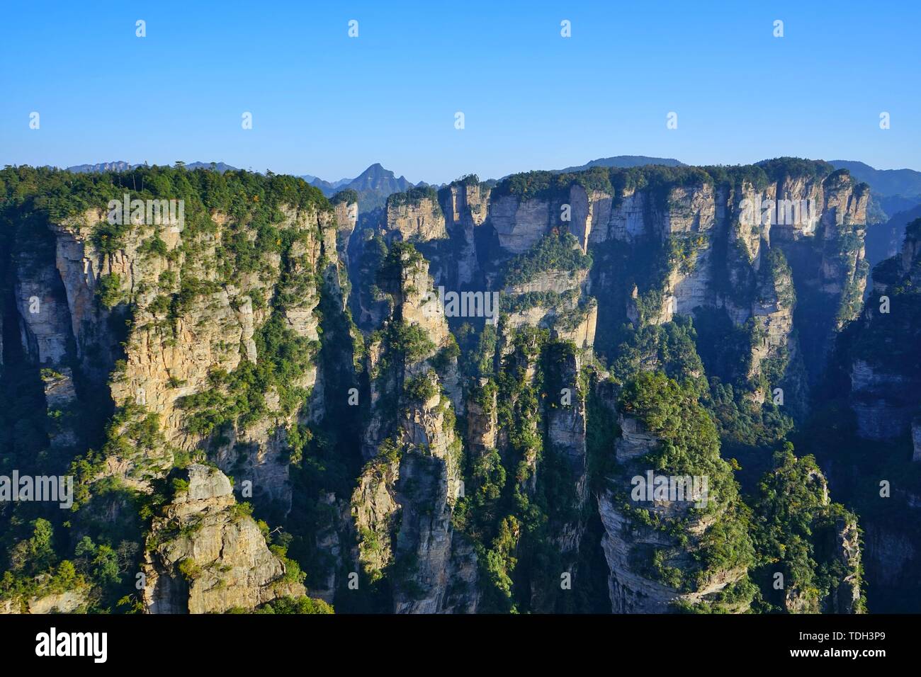 Zhangjiajie park bridge hi-res stock photography and images - Alamy