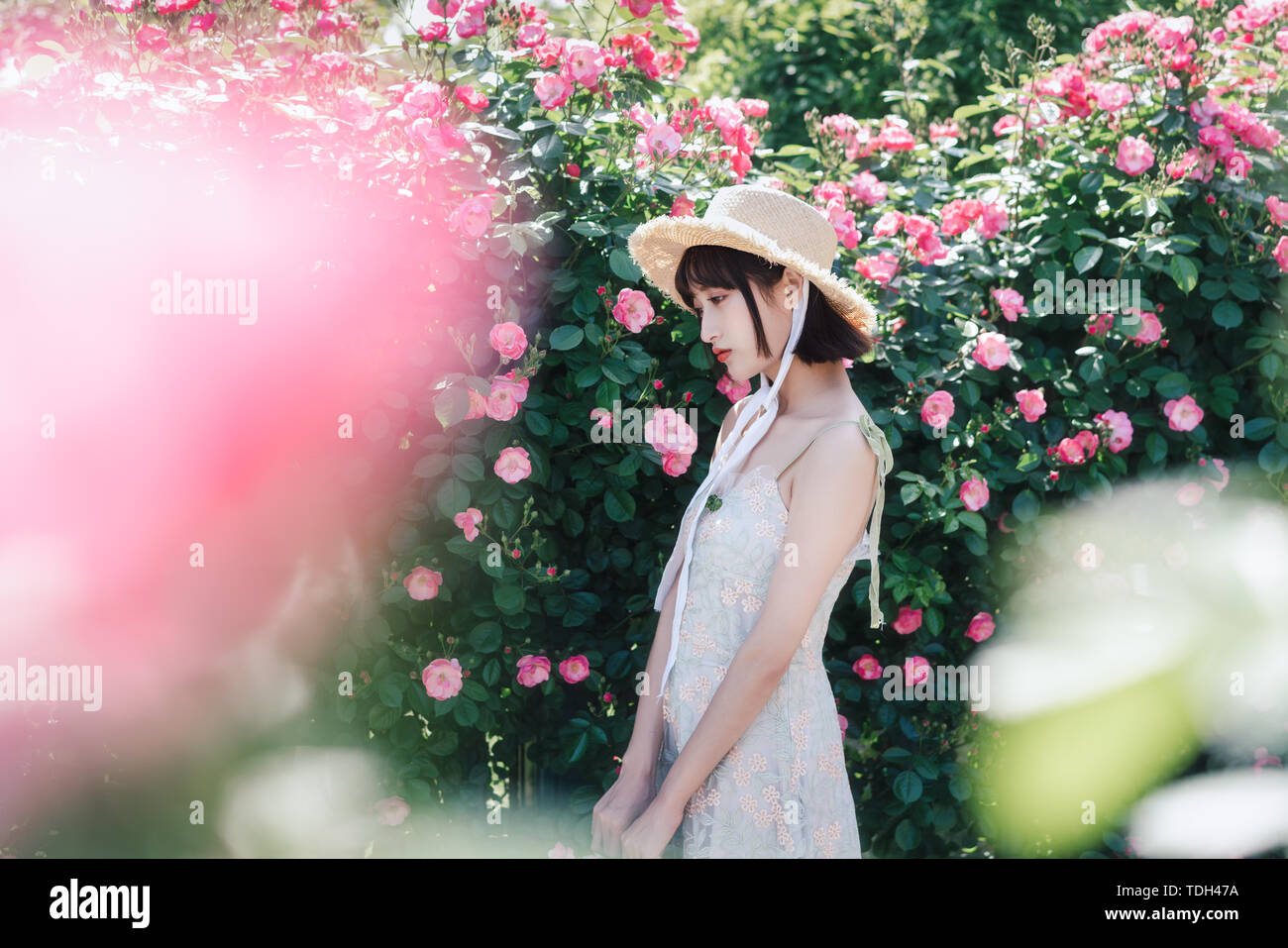 Rose Maiden Girl High Resolution Stock Photography and Images - Alamy