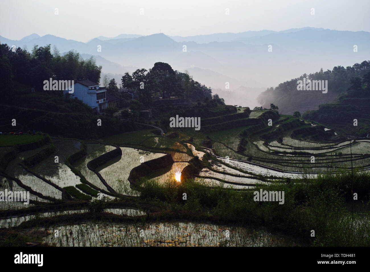 The terraces in the morning light Stock Photo - Alamy