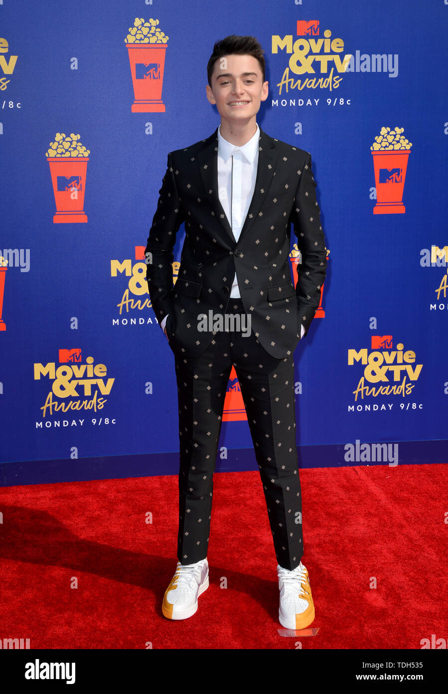 Santa Monica, USA. June 16, 2019: Noah Schnapp at the 2019 MTV Movie ...