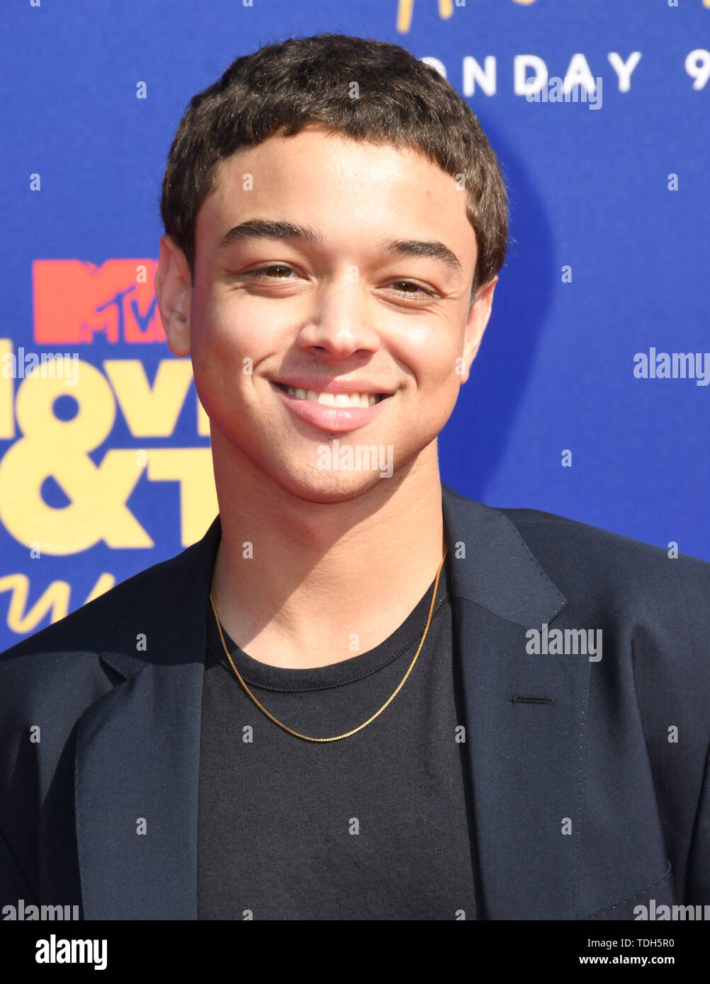 15 June 2019 - Santa Monica, California - Jason Genao. 2019 MTC Movie ...