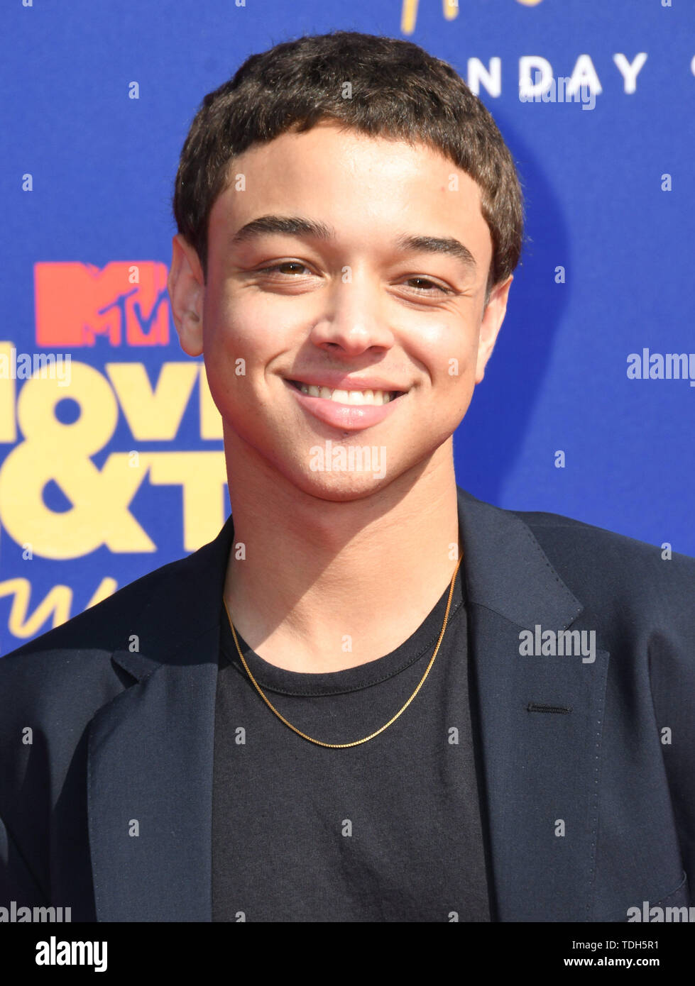 15 June 2019 - Santa Monica, California - Jason Genao. 2019 MTC Movie ...