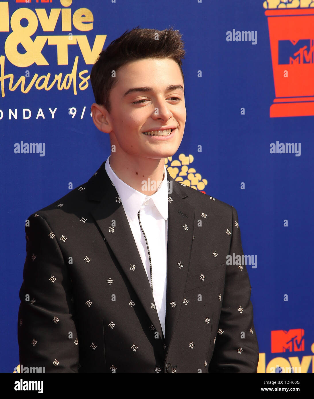 Santa Monica, USA. 15th June, 2019. Noah Schnapp attends the 2019 MTV ...