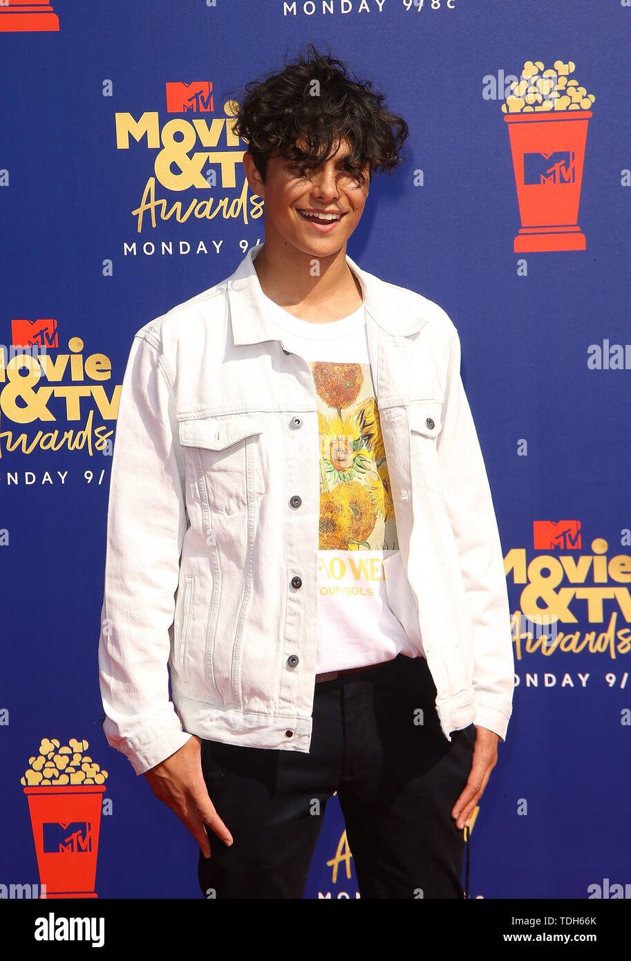 Santa Monica, USA. 15th June, 2019. Ben De Almeida attends the 2019 MTV ...