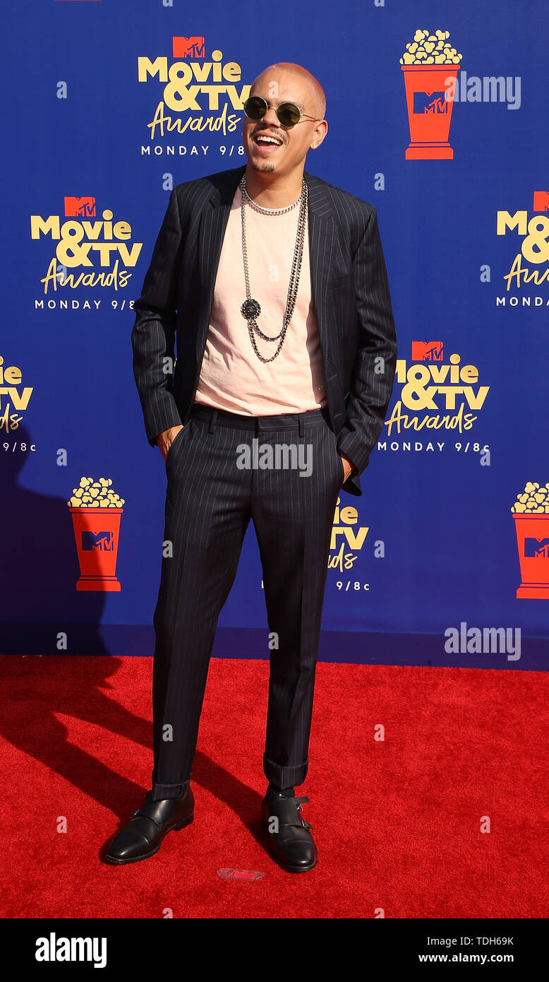 Santa Monica, USA. 15th June, 2019. Evan Ross attends the 2019 MTV ...