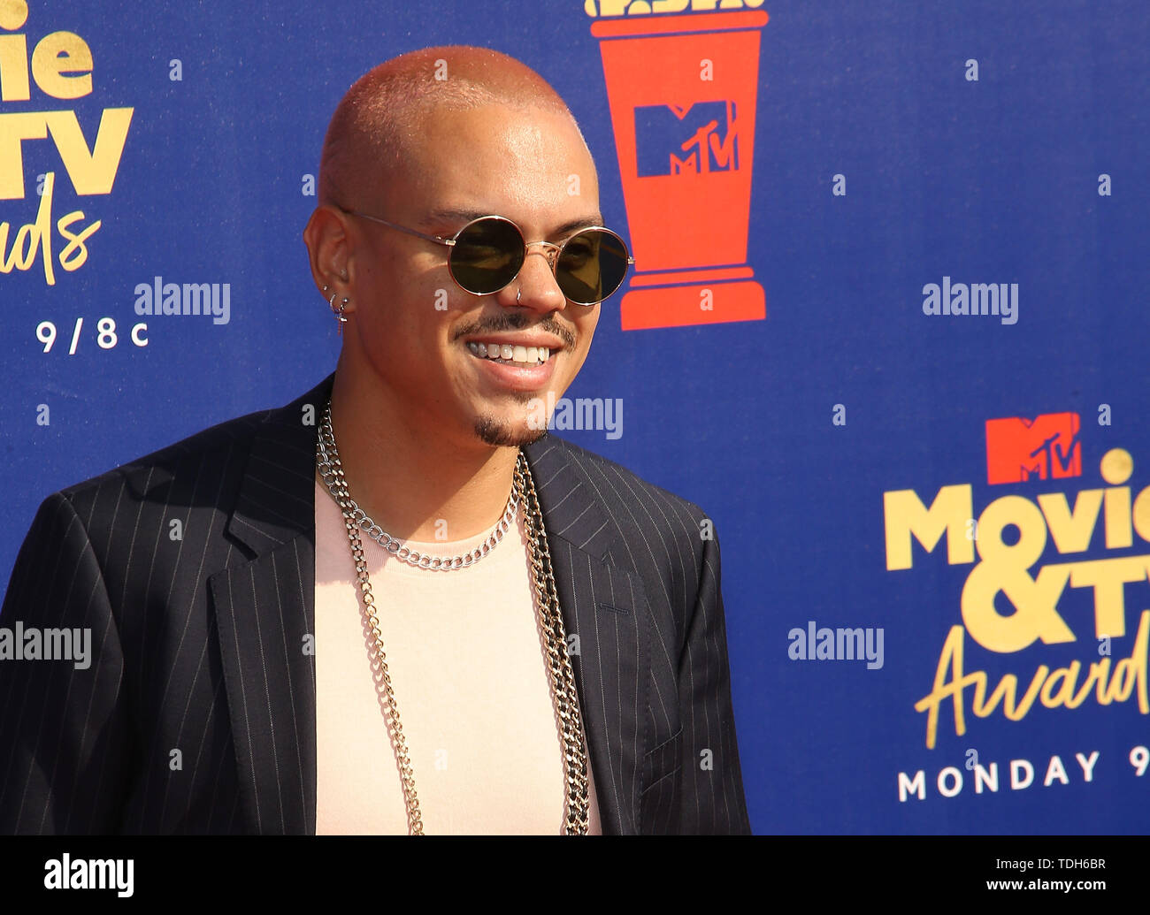 Santa Monica, USA. 15th June, 2019. Evan Ross attends the 2019 MTV ...