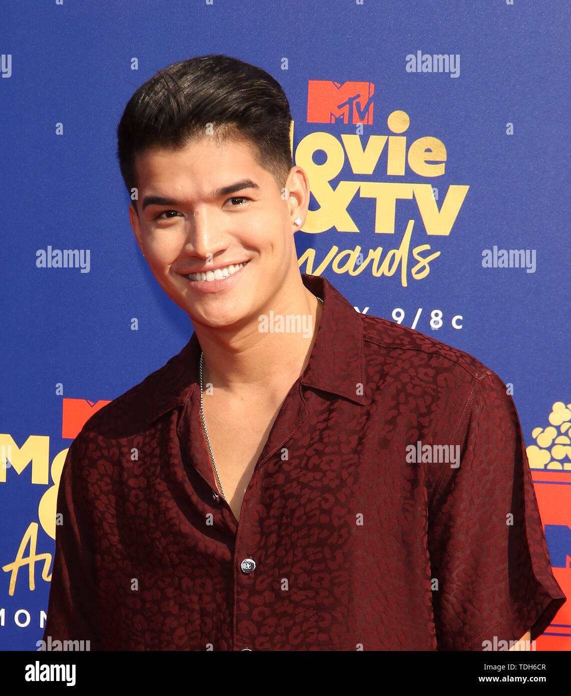 Santa Monica, USA. 15th June, 2019. Alex Wassabi attends the 2019 MTV ...