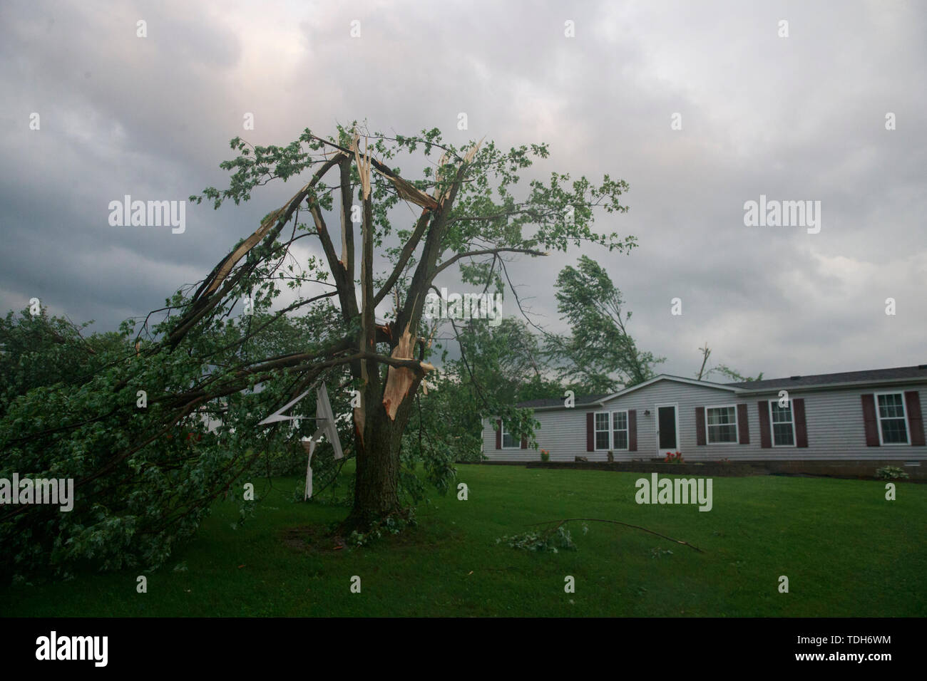 Tornado aftermath tree hi-res stock photography and images - Alamy